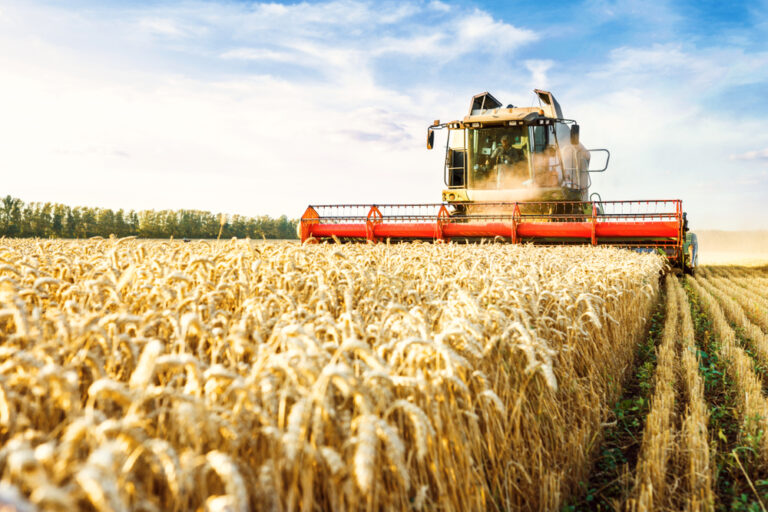 5 Safe Harvesting Tips to Keep Crops Pest-Free – Saroagrosciences Limited
